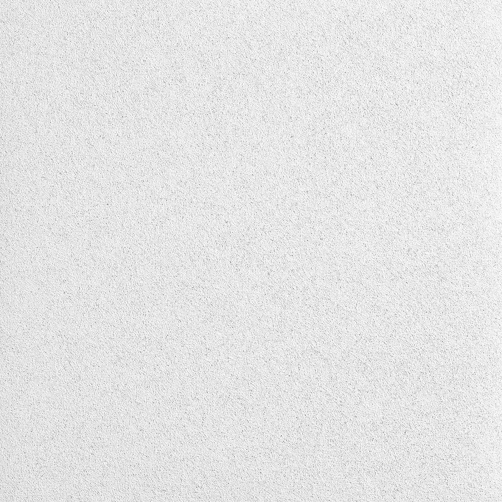 Armstrong Ceiling Tiles; 2x2 Ceiling Tiles - 6 pcs White Ceiling Tiles ...