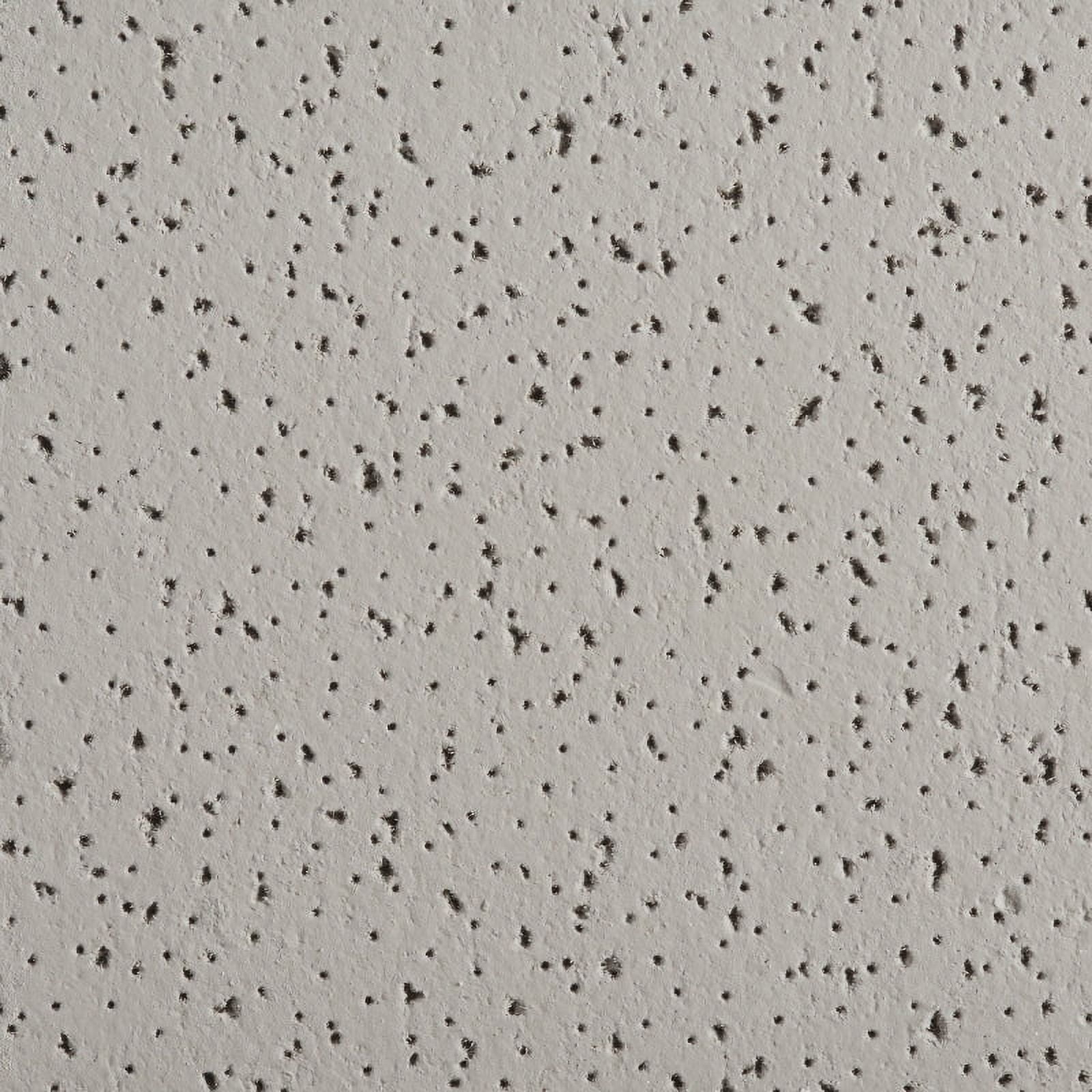 Armstrong Ceiling Tiles; 2x4 Ceiling Tiles - 12 pcs Grey Stone Ceiling ...