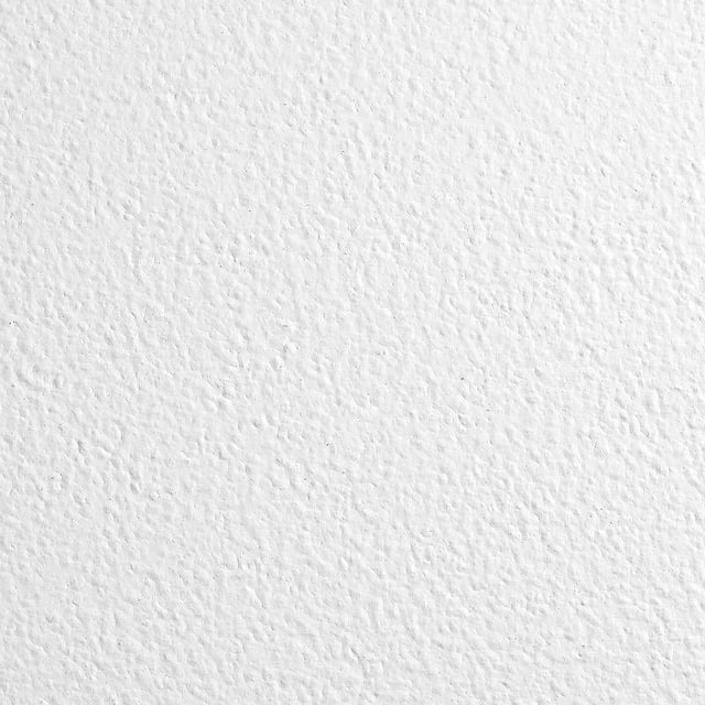 Armstrong Ceiling Tiles; 2x4 Ceiling Tiles - 12 pcs White Ceiling Tiles ...