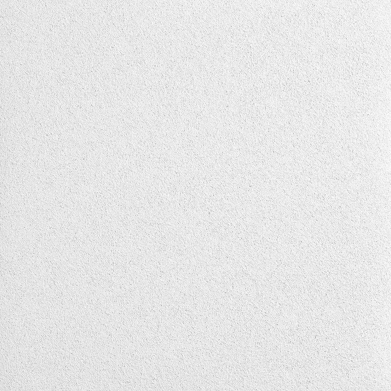 Armstrong Ceiling Tiles; 2x4 Ceiling Tiles - 12 pcs White Ceiling Tiles ...