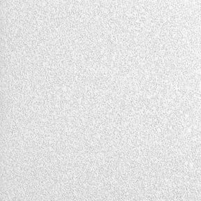 2x4 Ceiling Tiles