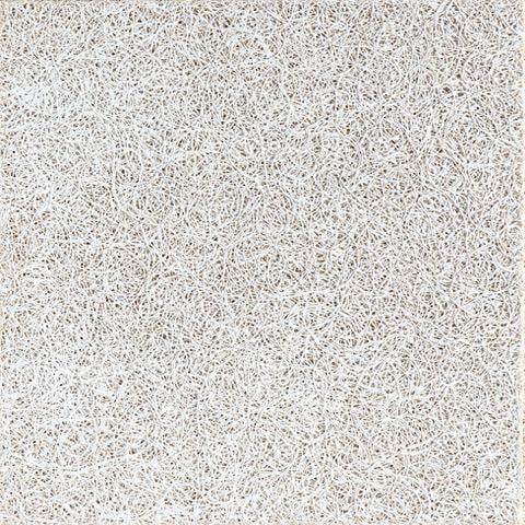 Armstrong 2x4 Tectum Lay-In and Tegular Acoustic Mineral Fiber Ceiling ...