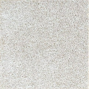 Armstrong CORTEGA SECOND LOOK 2x4 Acoustic Drop Ceiling Panels, 10 ...