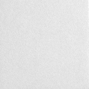 2x4 Ceiling Tiles