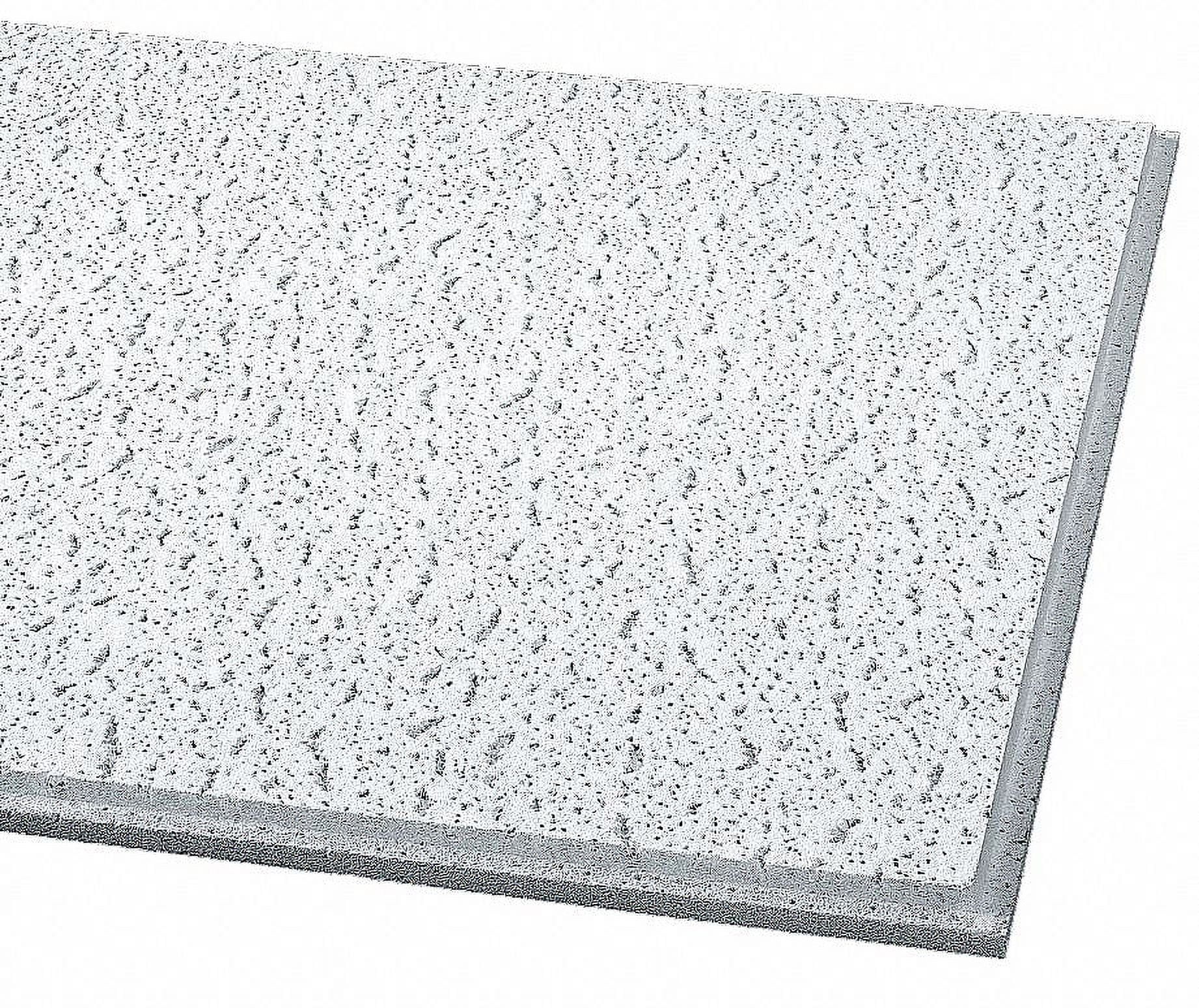 Armstrong Ceiling Tiles; 2x2 Ceiling Tiles - 16 pcs White Ceiling Tiles ...