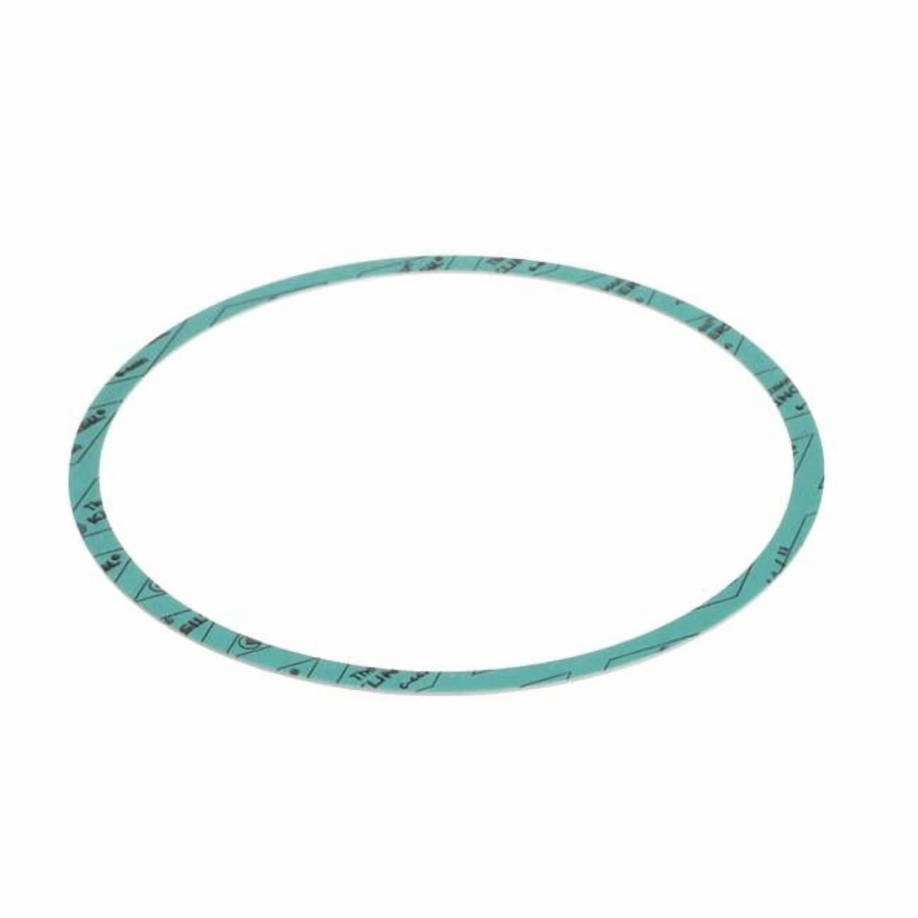 Armstrong Fluid Technology 8426401-003 Pump Casing Gasket - Walmart.com