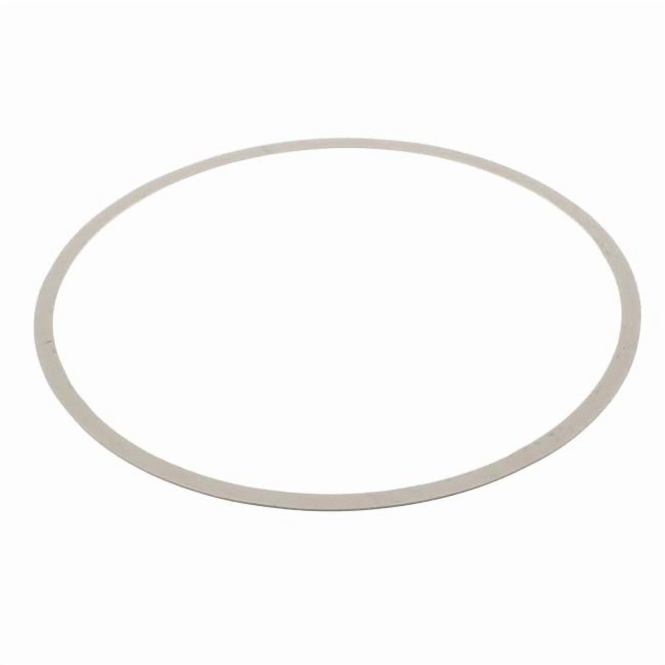 Armstrong Fluid Technology 8426401-006 Pump Casing Gasket - Walmart.com