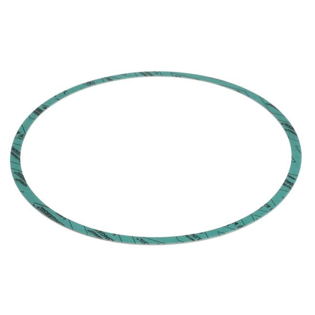 Armstrong Fluid Technology 8426401-004 Pump Casing Gasket - Walmart.com
