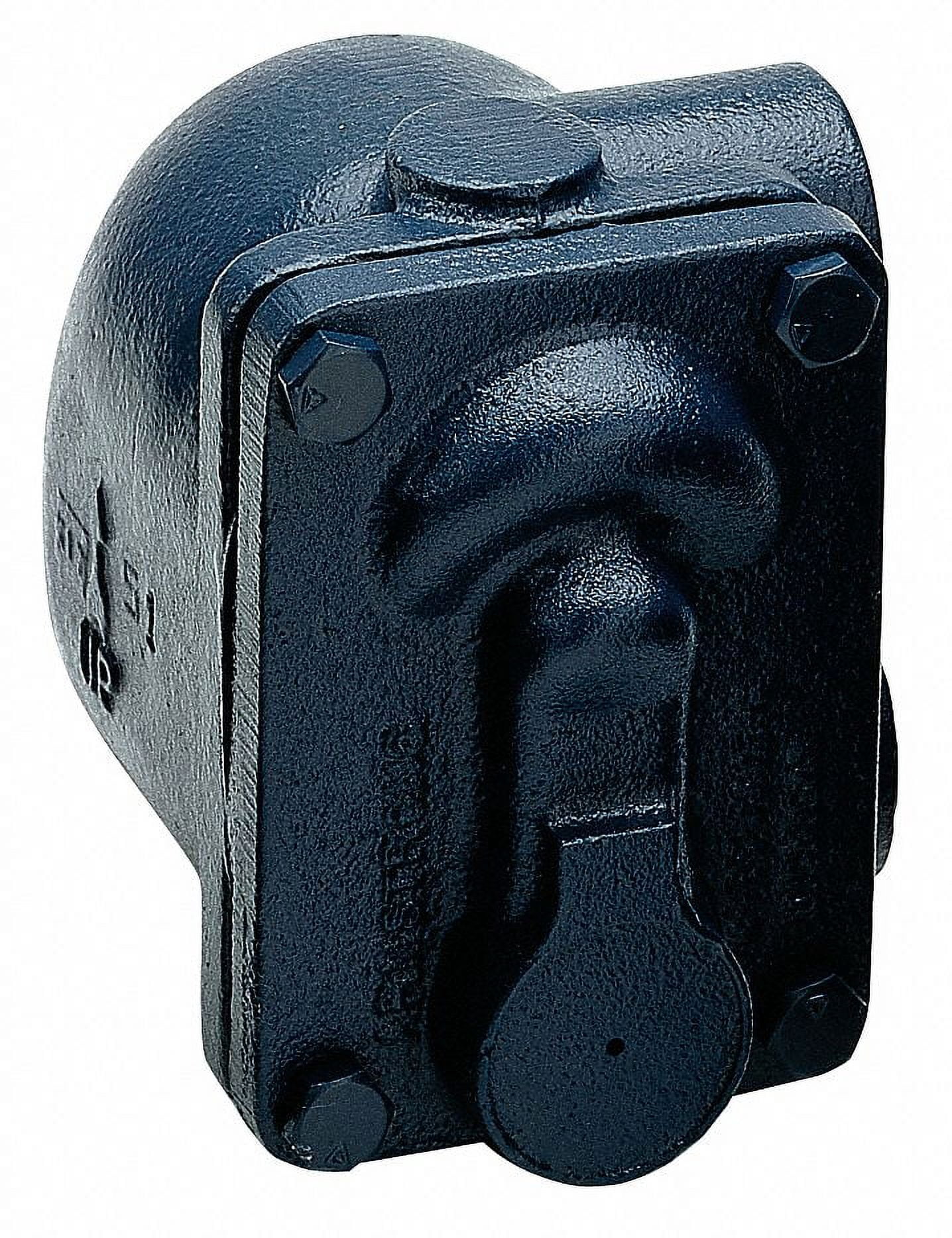 Armstrong International Steam Trap,Cast Iron,15 psi,1 1/2 in 15B6 ...