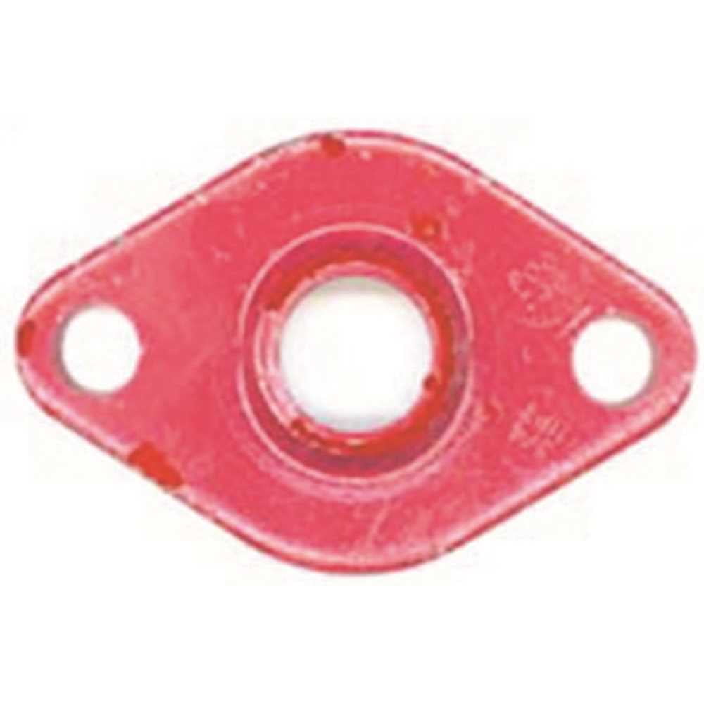 Armstrong Pumps 816013-111 3/4 in. Cast Iron Circulator Flange Kit Red ...