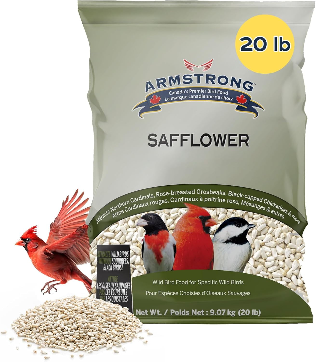 Armstrong Wild Bird Food Safflower Bird Seed, 20 Pounds - for Northern ...