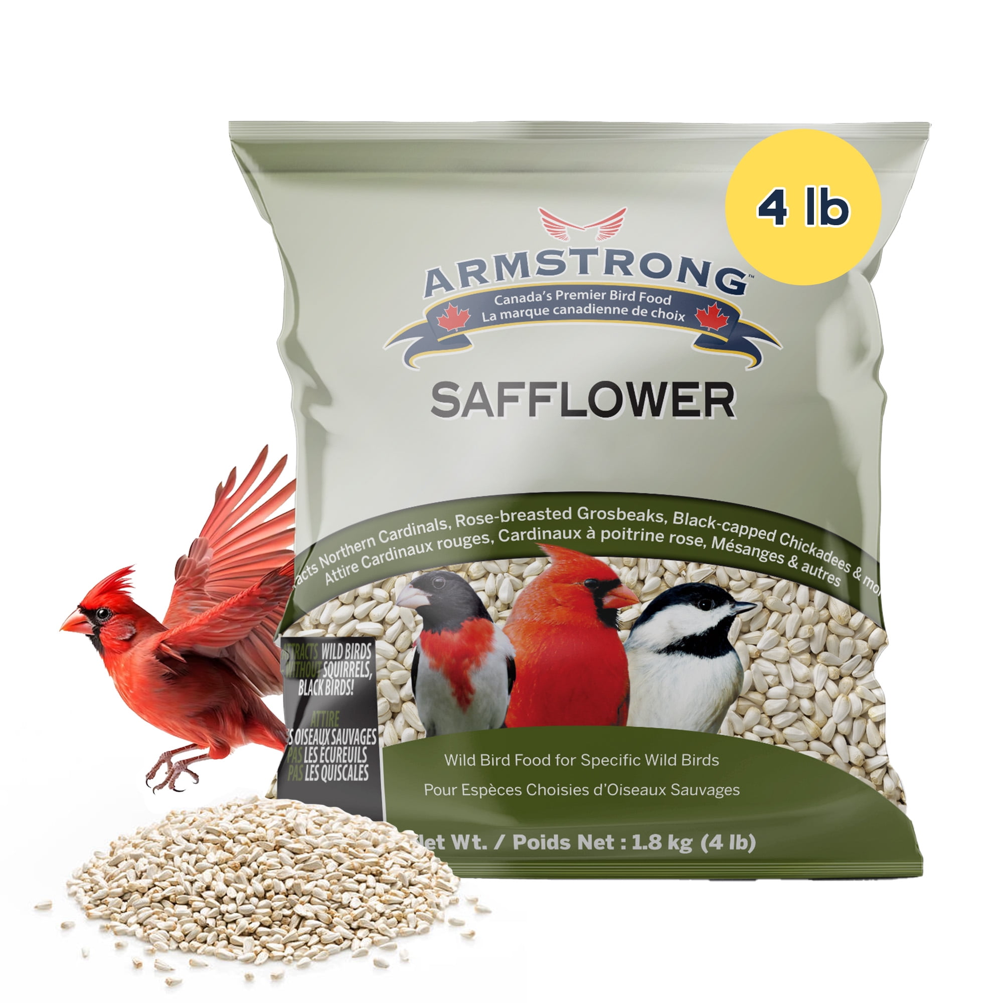 Armstrong Wild Bird Food Safflower Bird Seed, 4 Pounds - for Northern ...