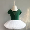 Army Green Kids 2-in-1 Ballet Leotard with Tutu Skirt Short Sleeve Mesh ...