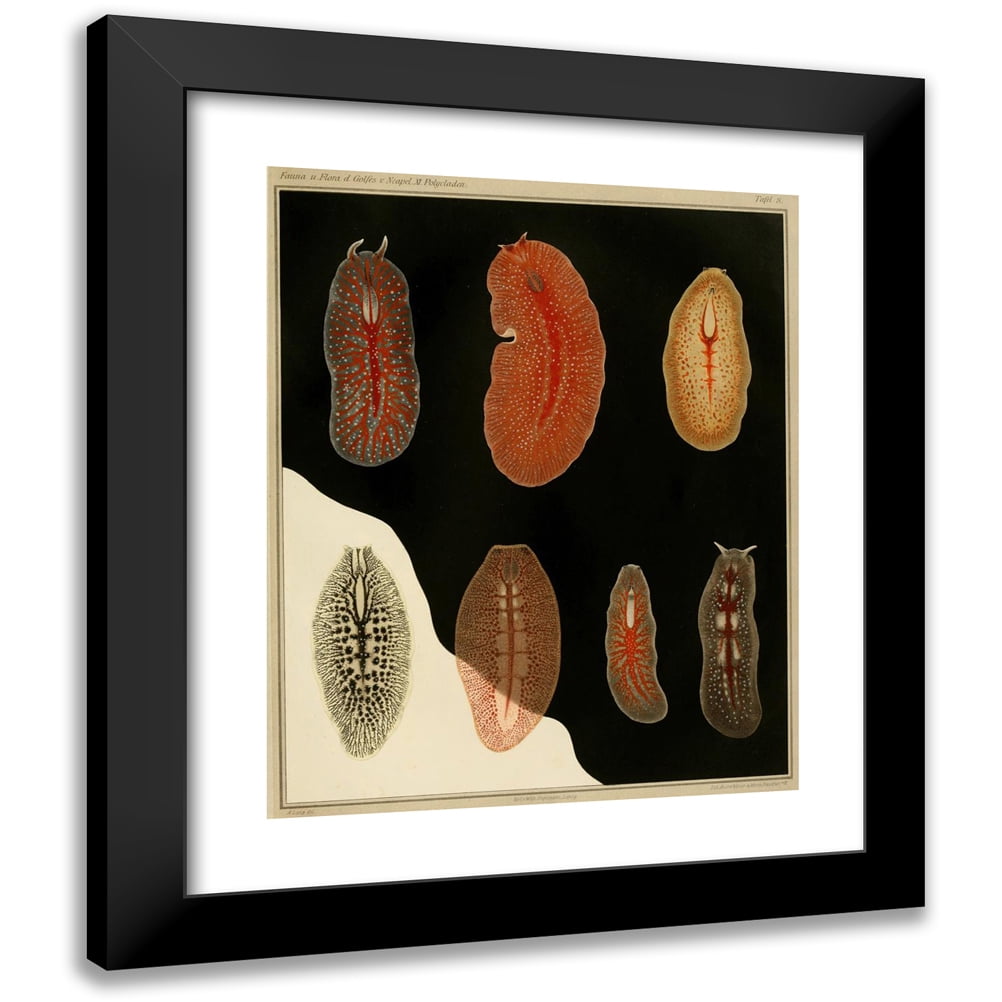 Arnold Lang 12x14 Black Modern Framed Museum Art Print Titled - The ...