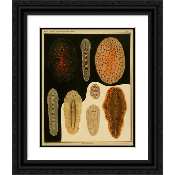 Arnold Lang 12x14 Black Ornate Wood Framed Double Matted Museum Art ...