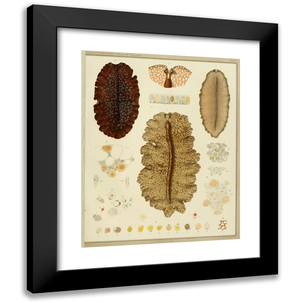 Arnold Lang 15x18 Black Modern Framed Museum Art Print Titled - The ...