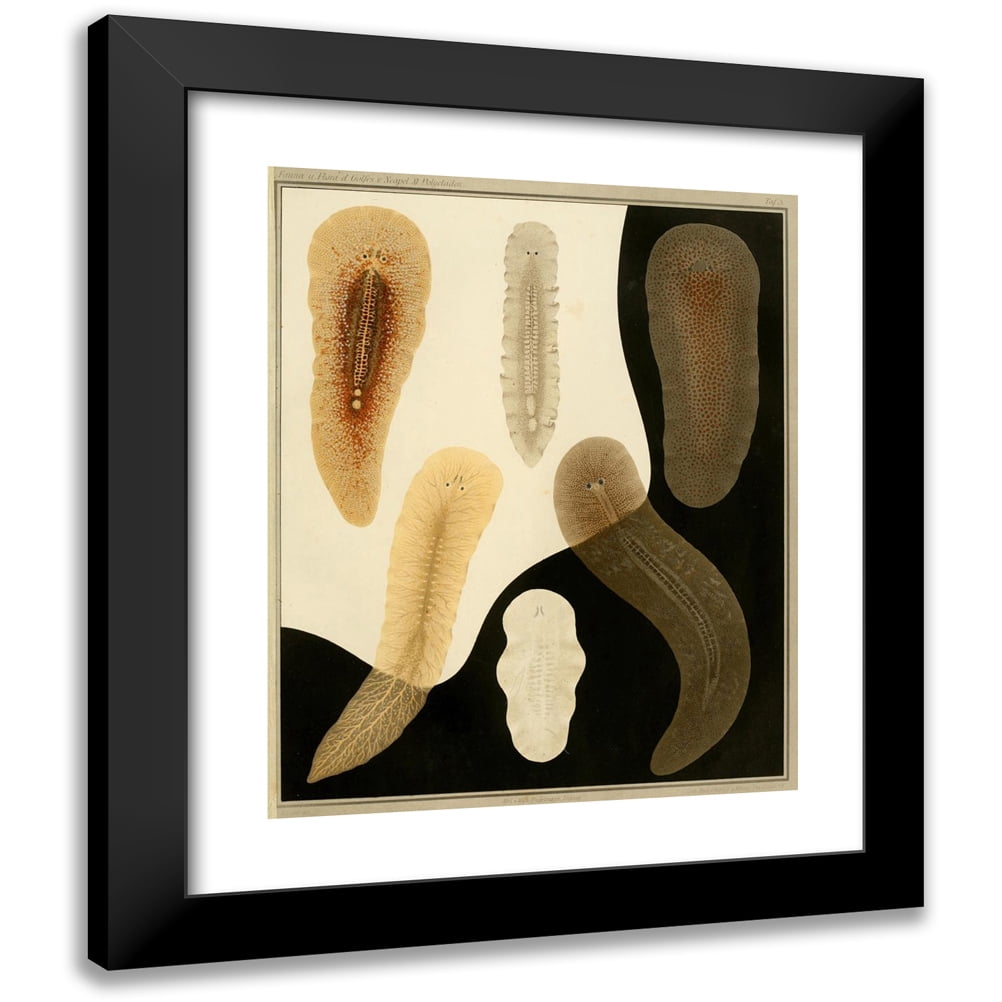 Arnold Lang 15x18 Black Modern Framed Museum Art Print Titled - The ...