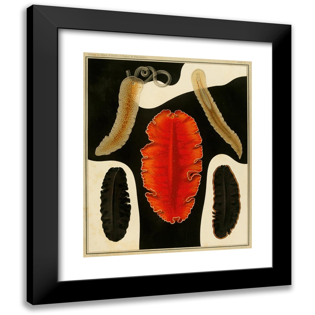Arnold Lang 15x18 Black Modern Framed Museum Art Print Titled - The ...