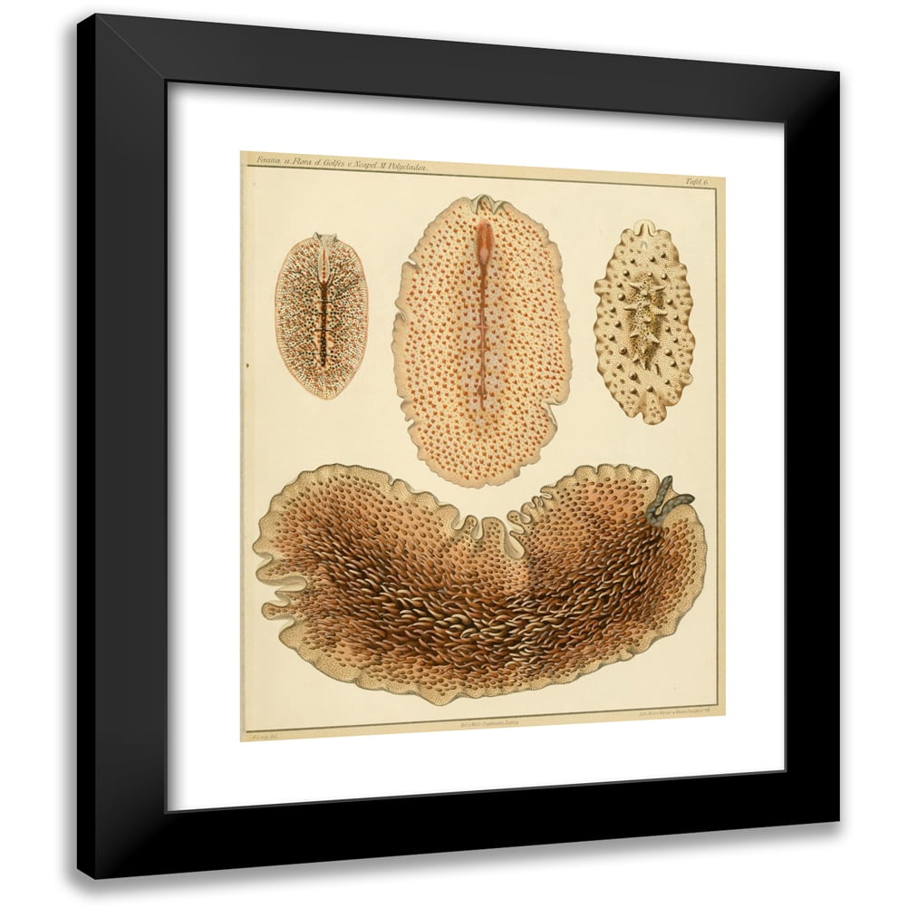 Arnold Lang 20x24 Black Modern Framed Museum Art Print Titled - The ...