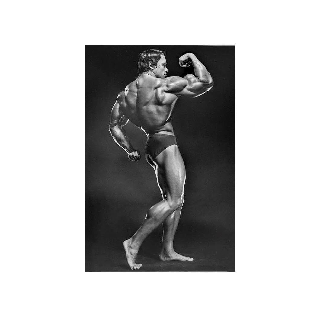 Arnold Schwarzenegger Black And White Bodybuilding Icon Statue Pose ...