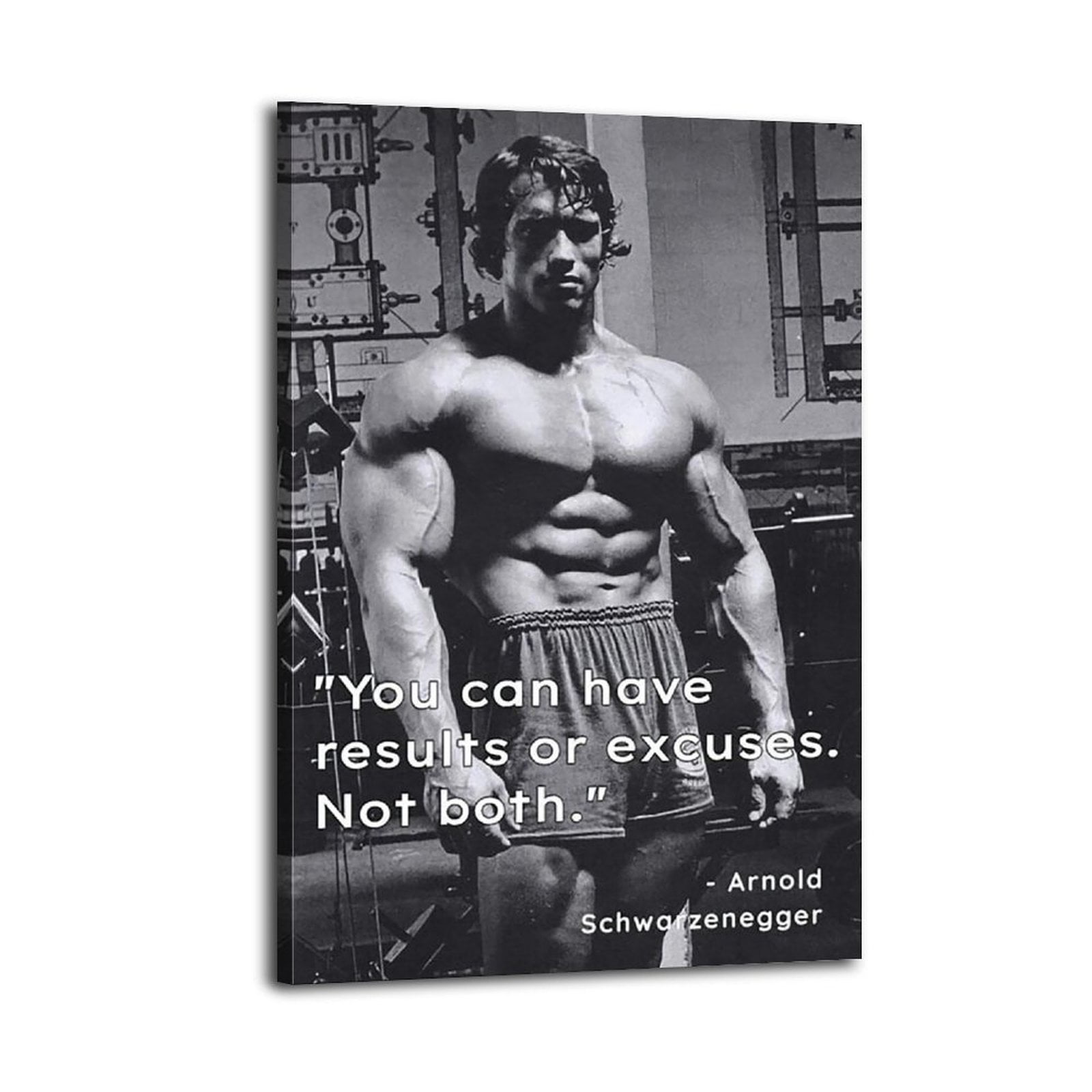 Arnold Schwarzenegger Canvas Modern Poster Wall Art Prints Paintings ...