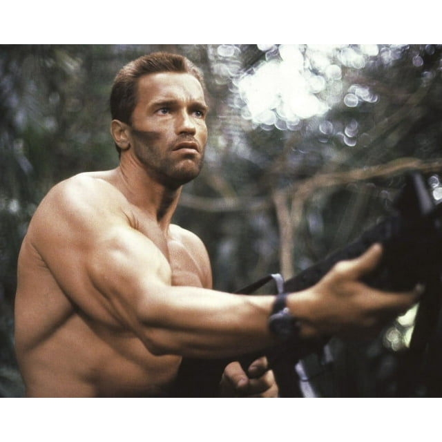 Arnold Schwarzenegger In Predator Handsome Muscles Holding Large Gun ...