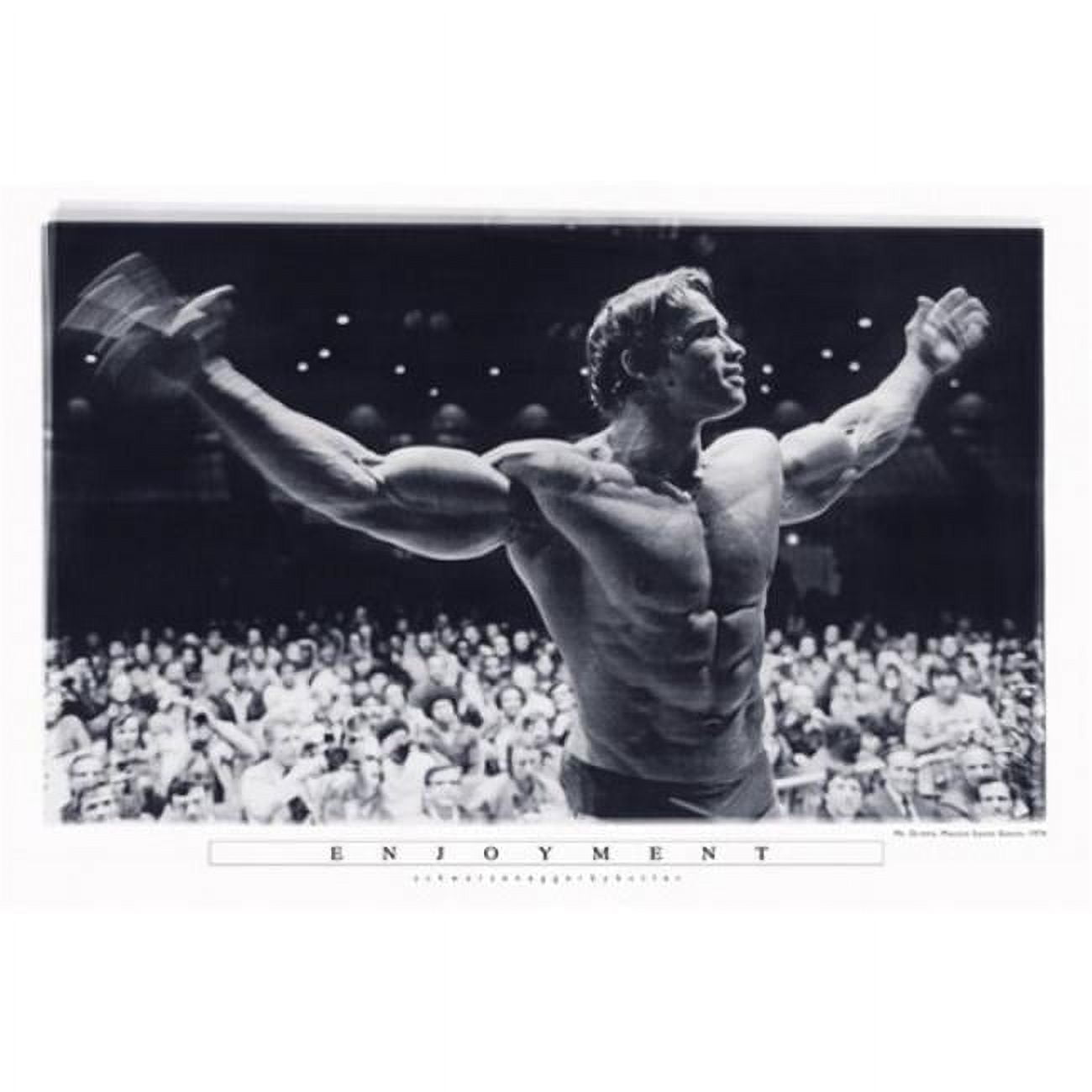Arnold Schwarzenegger Mr Olympia Poster Print, 24 x 36 - Walmart.com