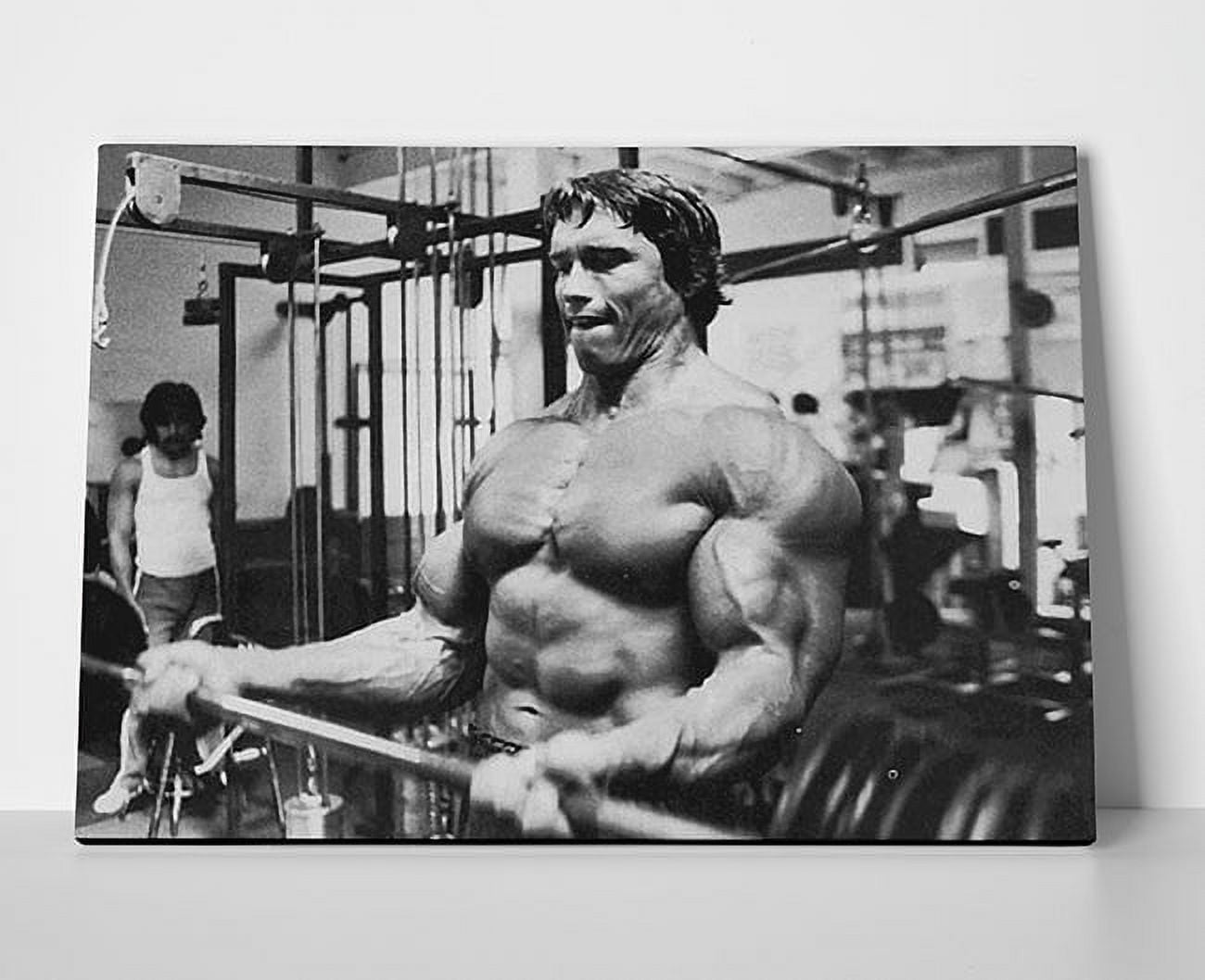 Arnold Schwarzenegger Poster or Wrapped Canvas - Walmart.com