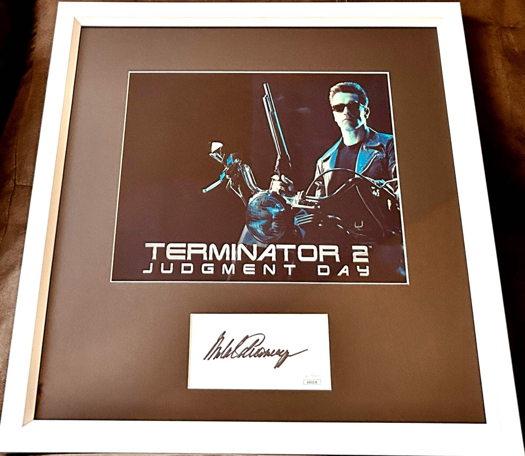 Arnold Schwarzenegger autograph framed with Terminator 2 8x10 movie ...