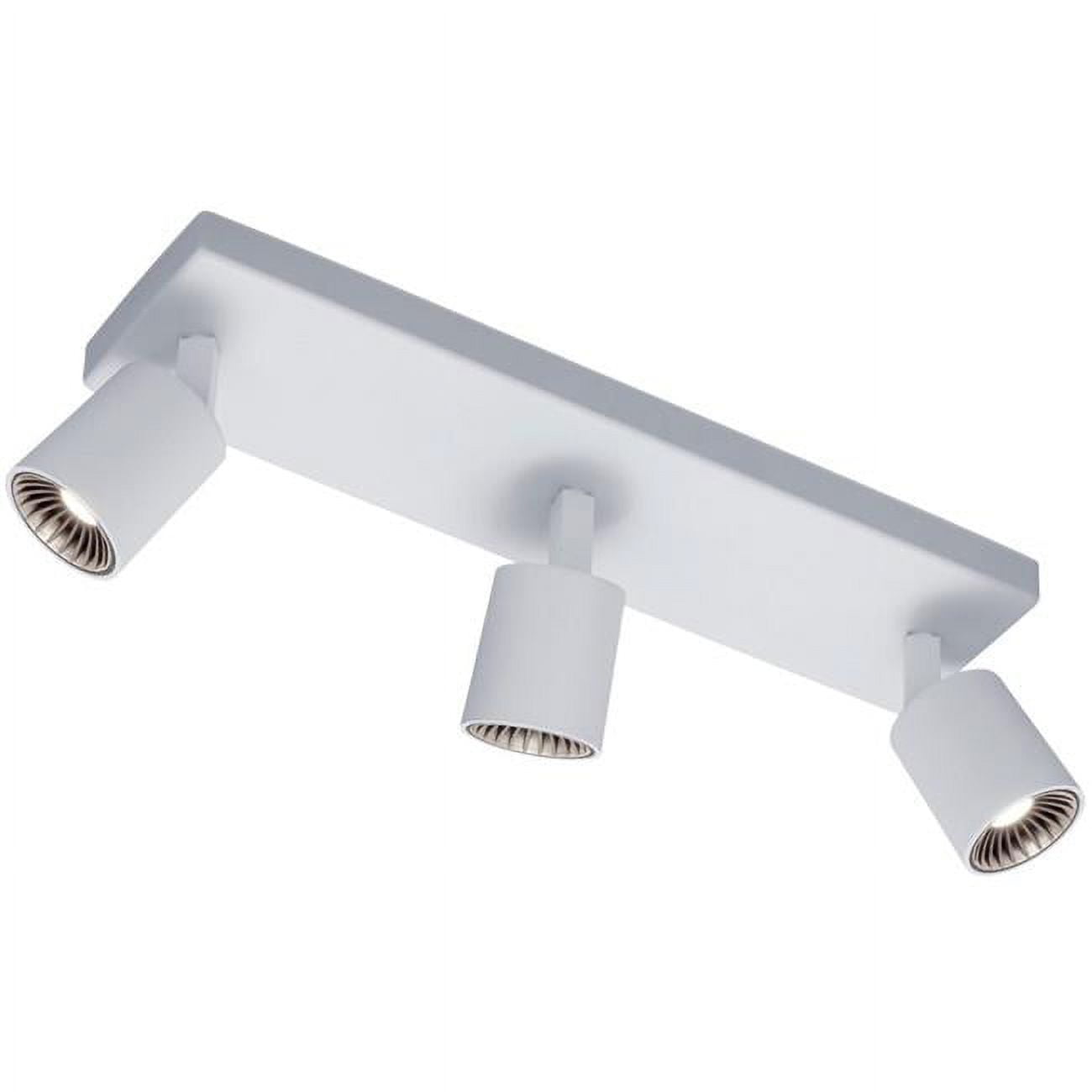Arnsberg 829210301 Cayman Ceiling Light, White - Walmart.com