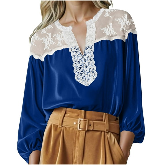 Arnsht Women's Elegant Tops V Neck Fashion Sheer T Shirts Lace Mesh ...