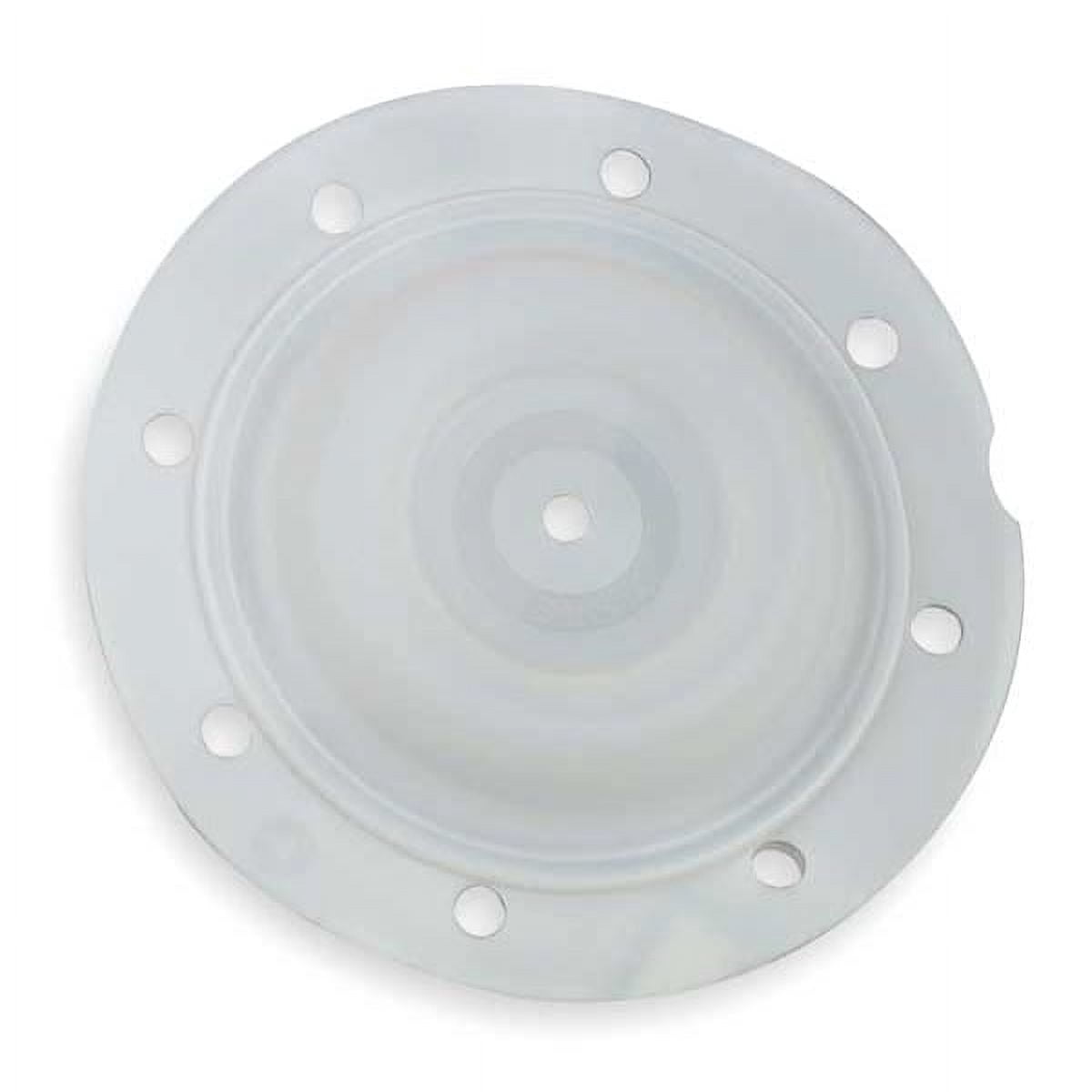 Aro Replacement Diaphragm,PTFE,For 6CCN6 94355-T - Walmart.com