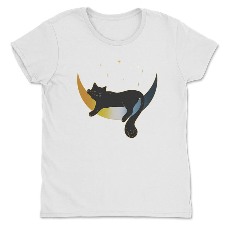 Aroace Pride Shirt, Sunset Flag with Space Moon Cat, Aromantic Asexual ...