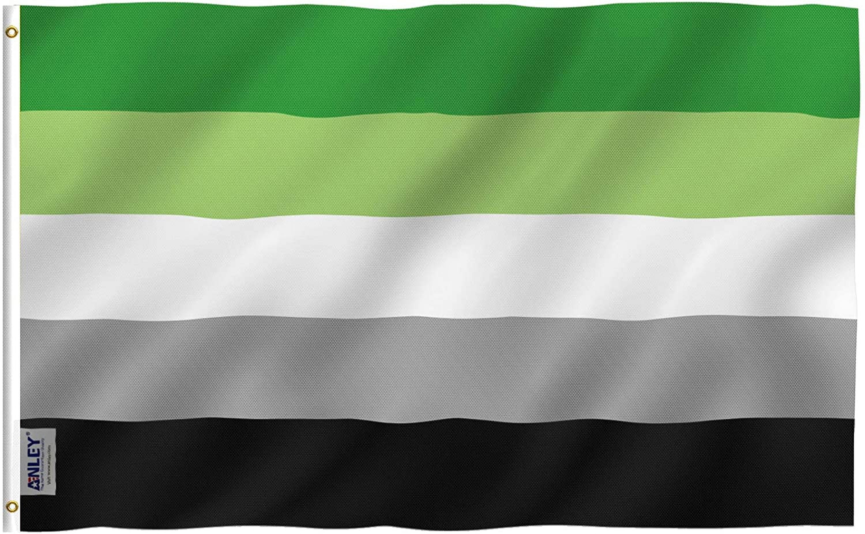 Aromantic Pride Flag - Vivid Color and Fade Proof - Aromantic Pride ...