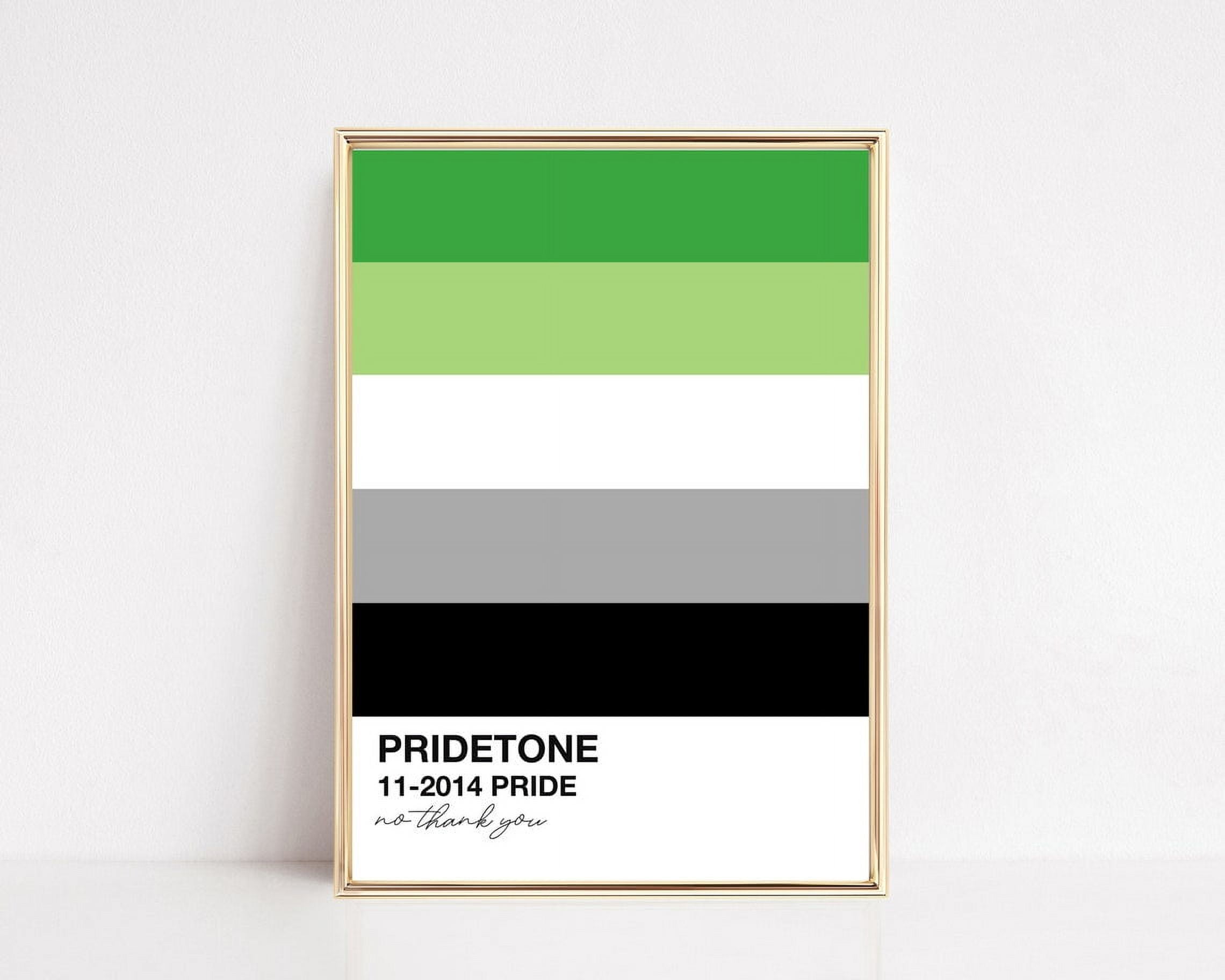 Aromantic Pride Month Print Aromantic Pride Flag Lgbtq Poster Pride Gay ...