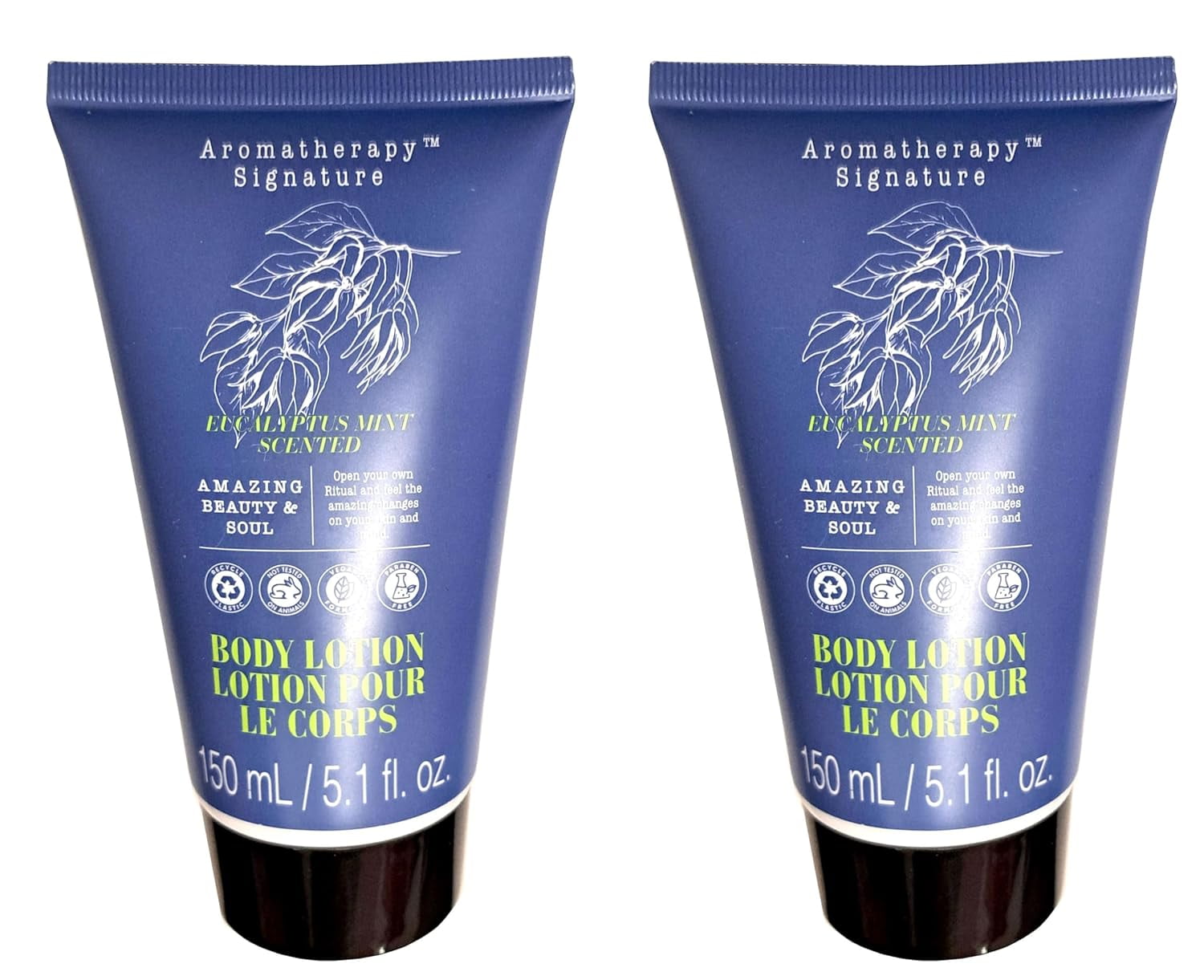 Aromatherapy Signature Body Lotion - Eucalyptus Mint Scented 5.1 fl oz ...