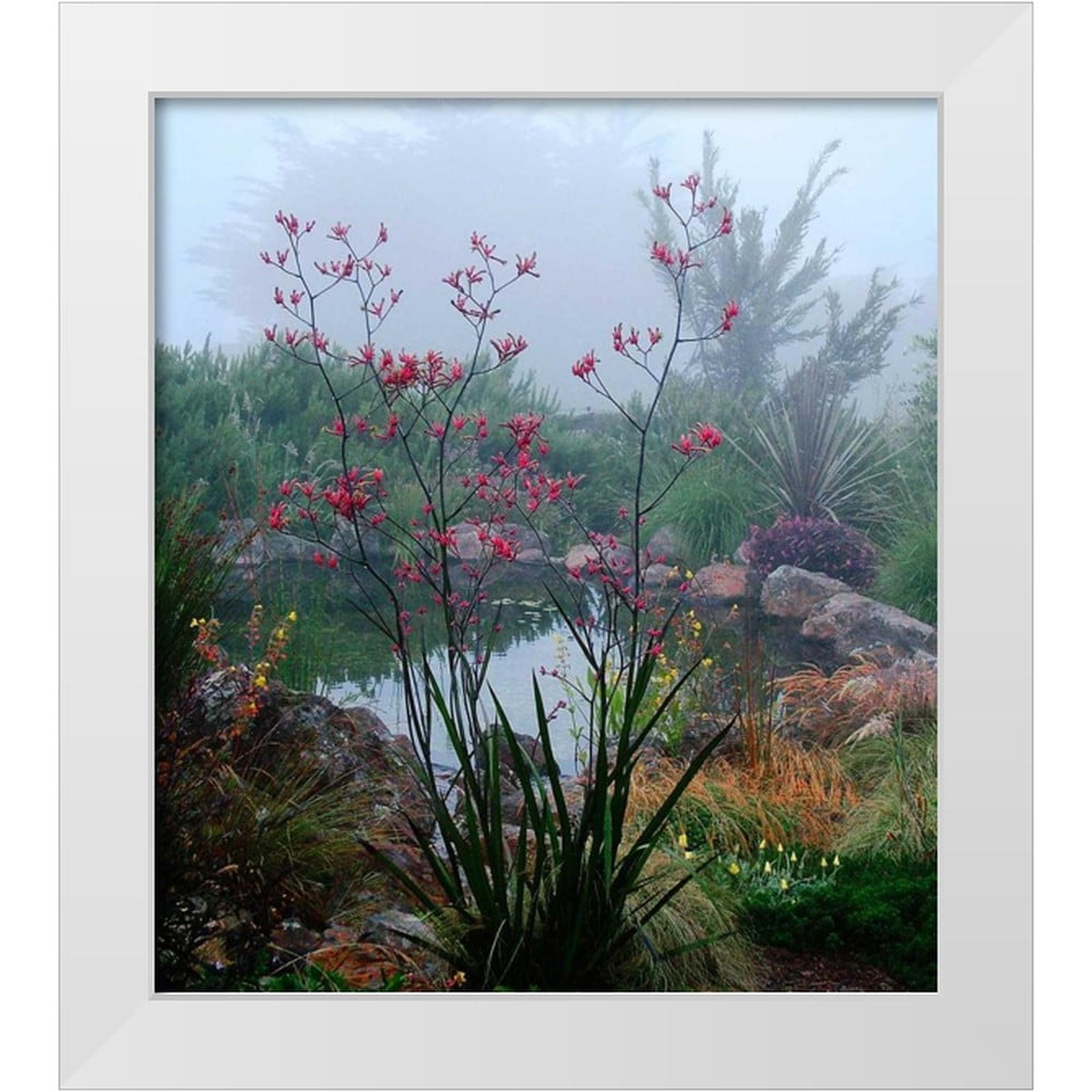 Aron, Lucy 12x13 White Modern Wood Framed Museum Art Print Titled - Scarlet - Walmart.com