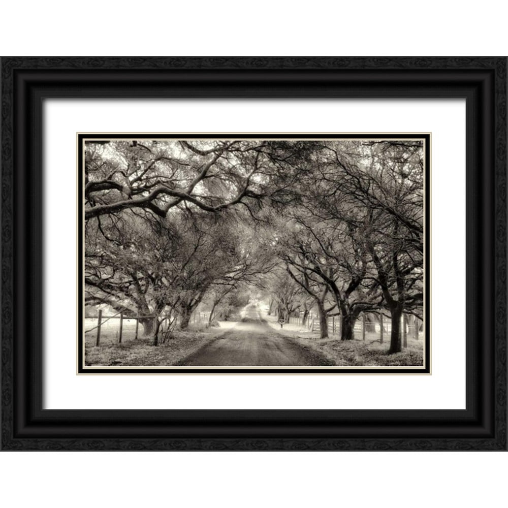 Aron, Lucy 24x17 Black Ornate Wood Framed with Double Matting Museum Art Print Titled - Canopy ...