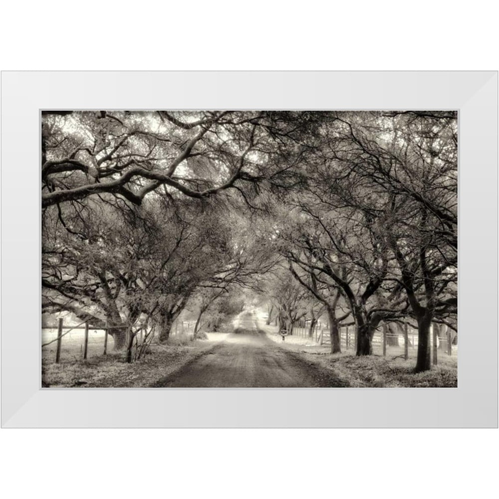 Aron, Lucy 32x23 White Modern Wood Framed Museum Art Print Titled ...