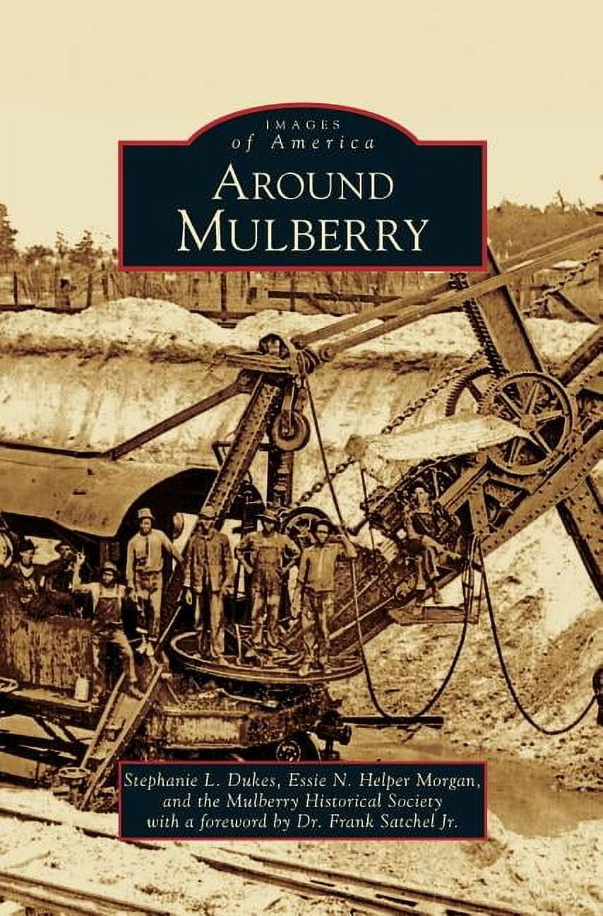 Around Mulberry (Hardcover) - Walmart.com