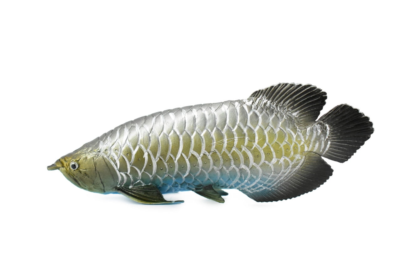 Arowana, Blue Dragon Fish, Asian Arowana, Rubber Fish, Hand Painted ...