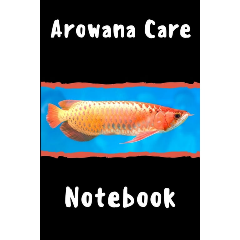 Arowana Fish Care