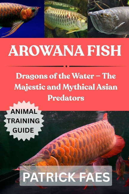 Arowana Fish: Dragons of the Water - The Majestic and Mythical Asian ...