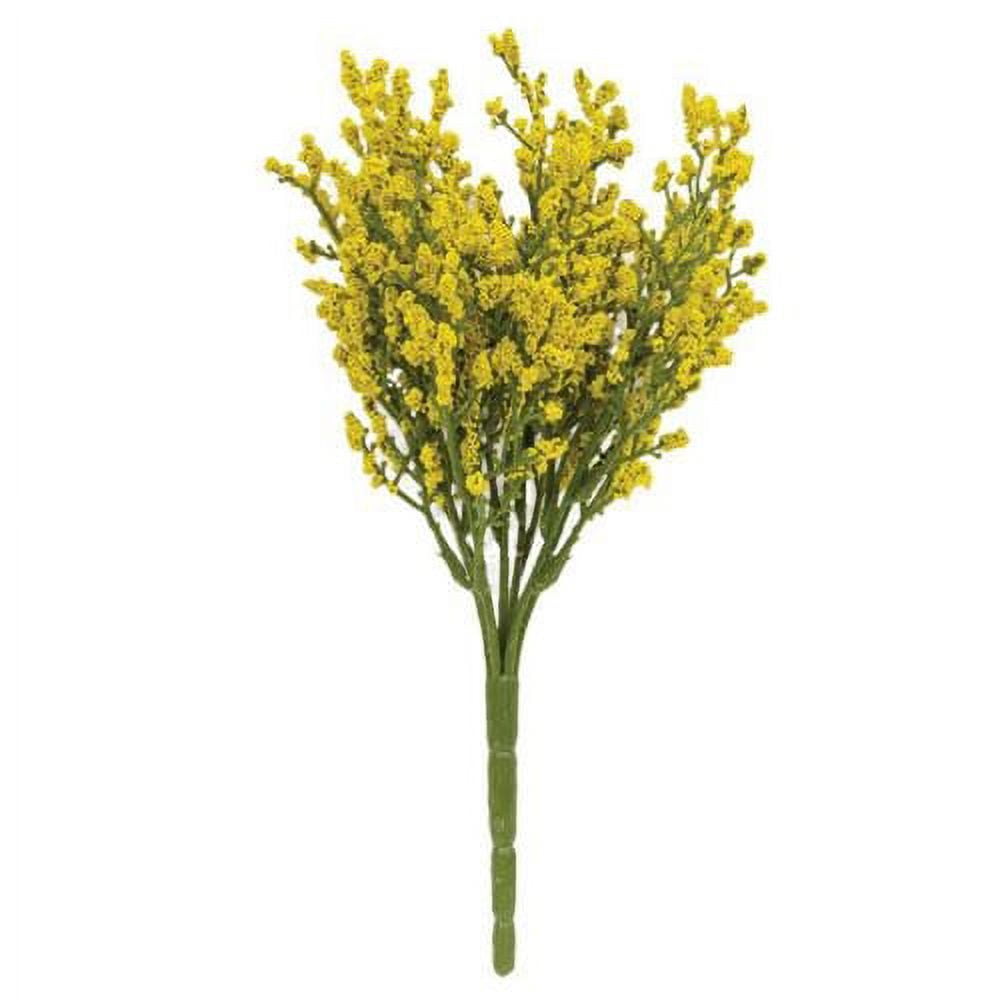 Yellow Astilbe