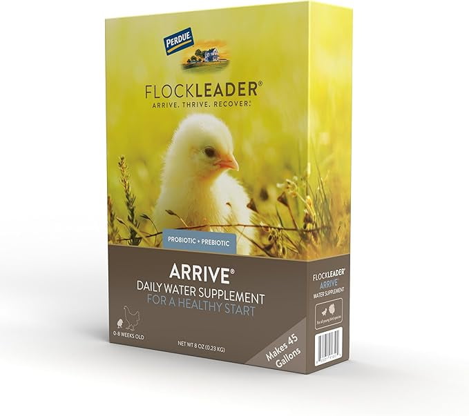 Arrive, Daily Probiotic & Prebiotic Water Supplement for Young Chickens ...