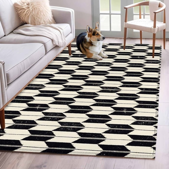 Arrow Feathers Washable Area Rug 3x5 Retro Black Beige Arrow Feather ...