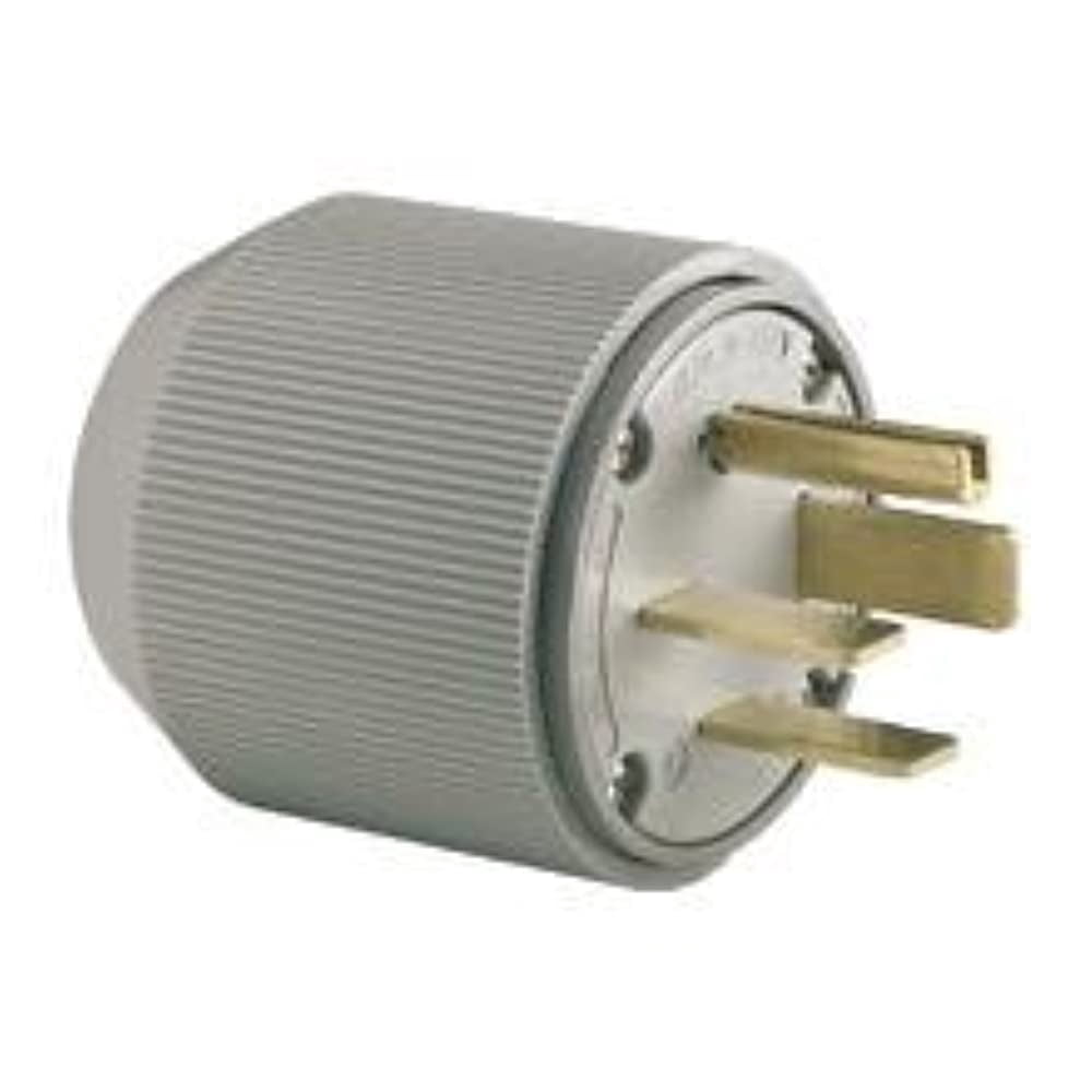 Arrow Hart 8462N 60 Amp, 250V, Straight Blade Plug, Gray - Walmart.com