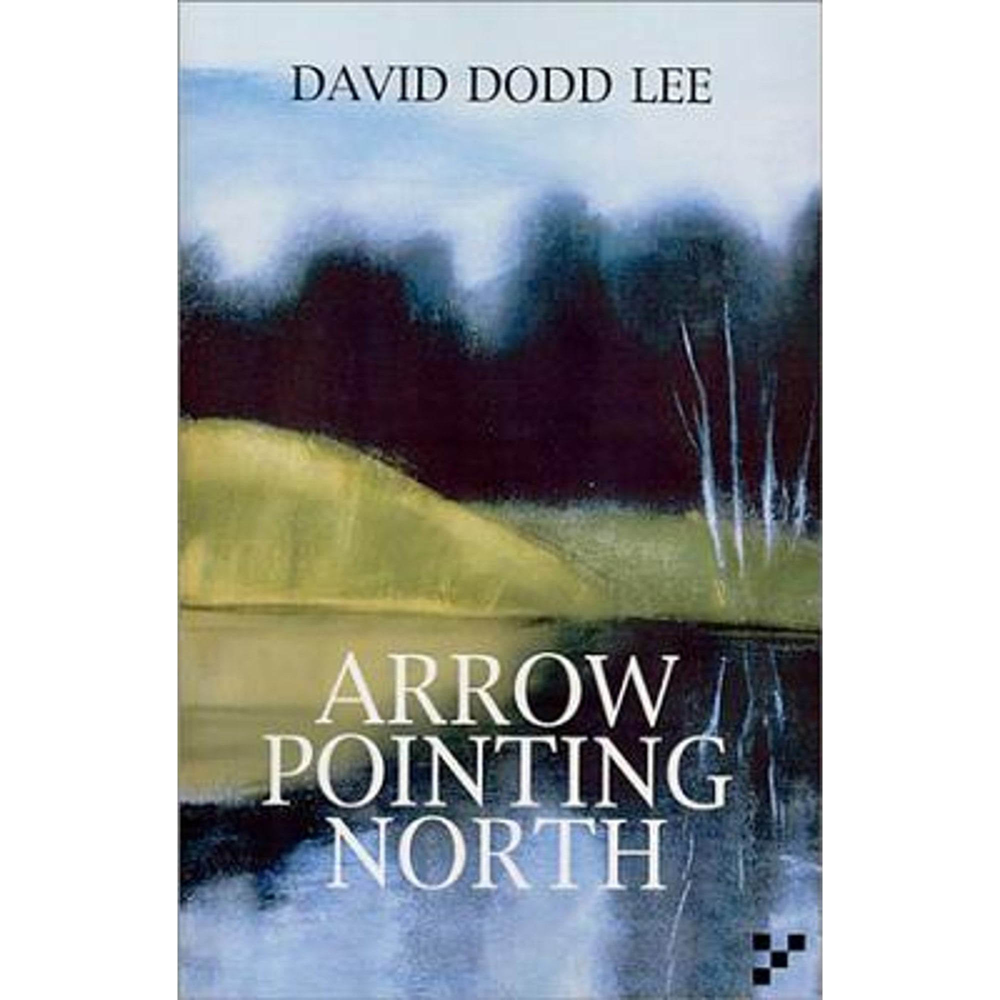 Pre-Owned Arrow Pointing North (Paperback 9781884800412) by David Dodd ...