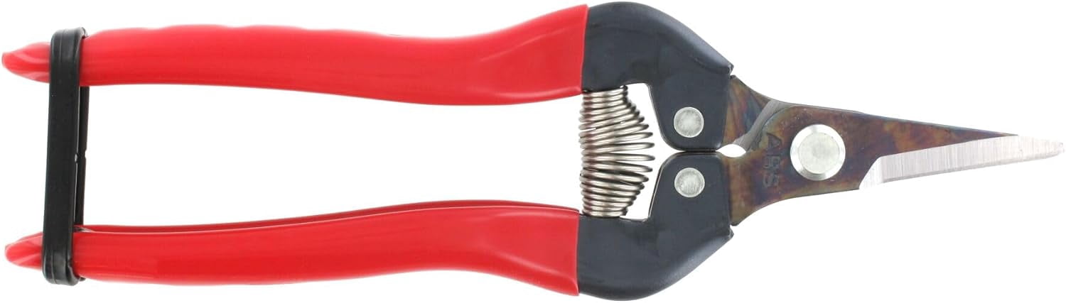 Ars Corporation Fruit Picking Shears S (Boxed) 300S - Walmart.com