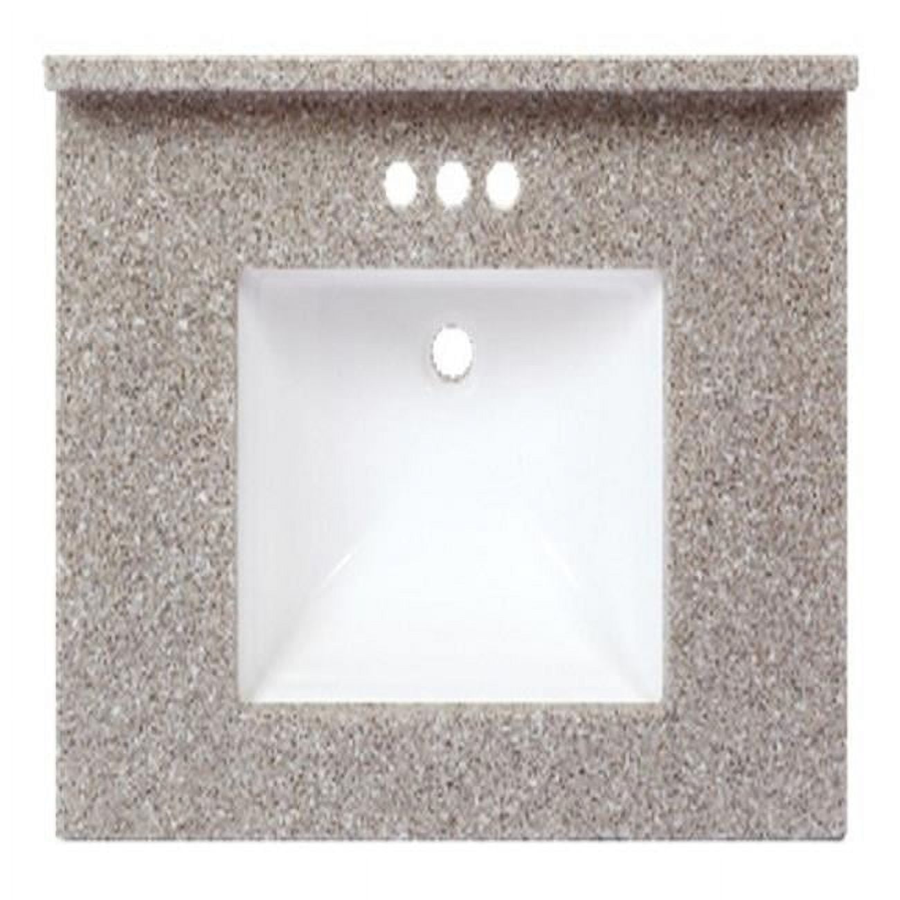 Arstar 4006185 31 x 22 in. Latte Charlotte Cultured Marble Vanity Top ...